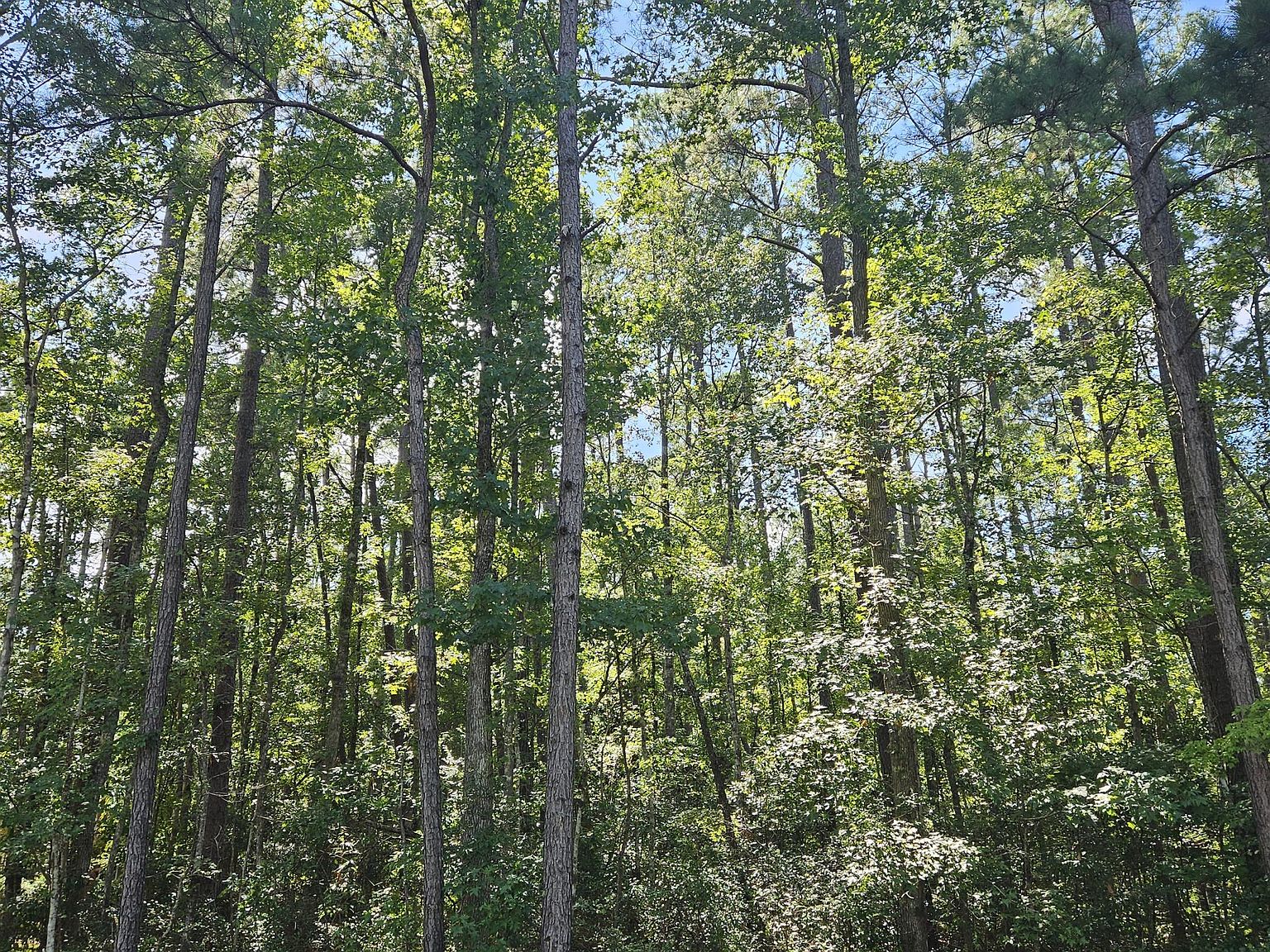 36 Pinewood Drive, Calabash, NC 28467 | Zillow