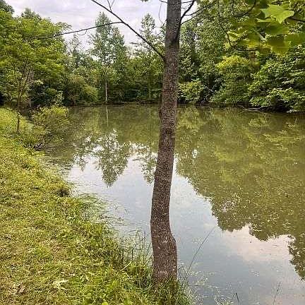 0 Lower Johnson Branch Rd, Parksville, KY 40464 | MLS #11511429 | Zillow