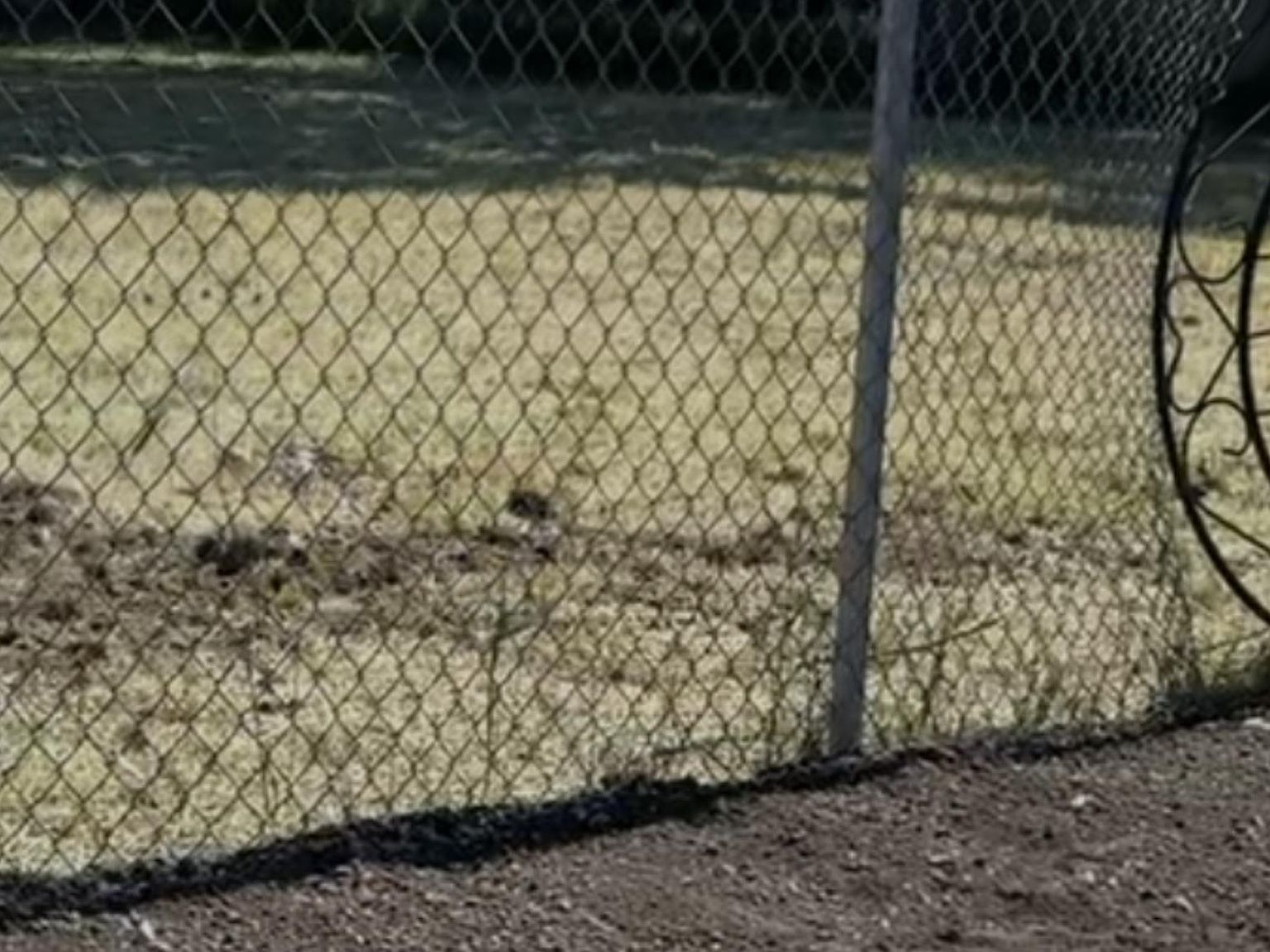 2030 Riley Ct, Concord, CA 94520 | MLS #41090760 | Zillow