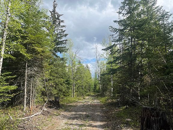 14156 Orvis Evans Dr, Bigfork, MT 59911 | MLS #30005231 | Zillow