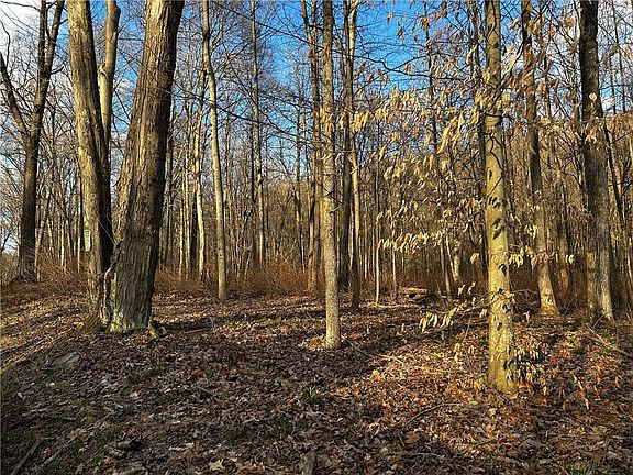 572 Austraw Rd, Ligonier, PA 15658 | Zillow