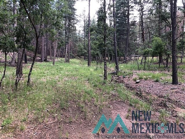 101 Camino Facil, Rociada, NM 87742 | MLS #20223901 | Zillow