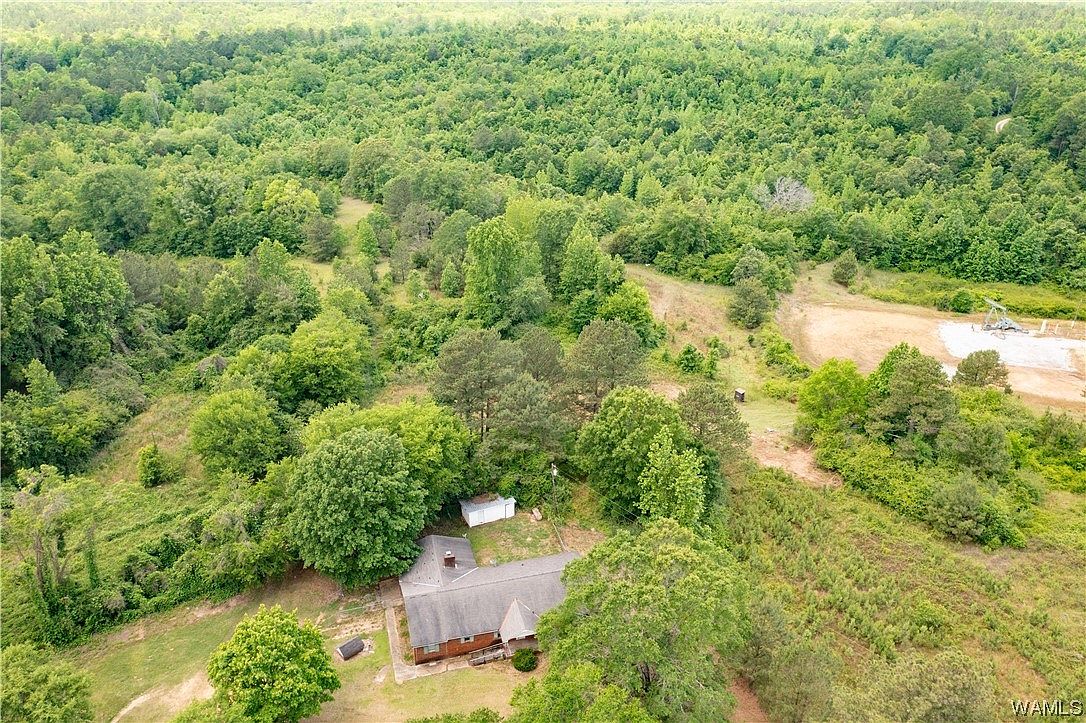 16294 Gainsville Rd, Ralph, AL 35480 | Zillow