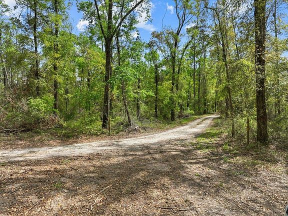 0 NW Jennings Bluff Rd, Jennings, FL 32053 | MLS #369822 | Zillow