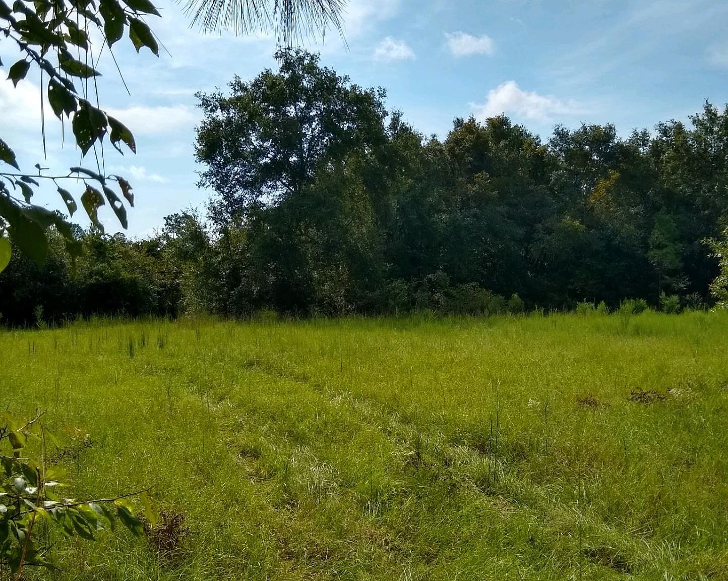 68 Phillipsville Rd, Bay Minette, AL 36507 | Zillow