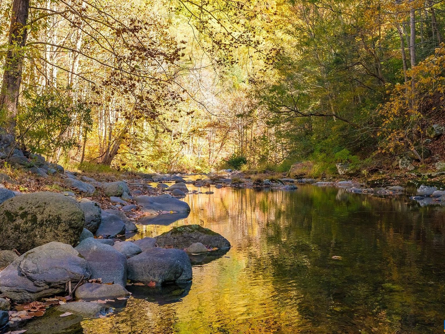 9360 Crabtree Falls Hwy, Tyro, VA 22976 | Zillow