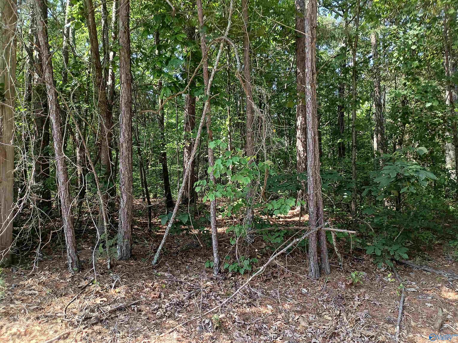 1 Arledge Dr, Attalla, AL 35954 | MLS #21891849 | Zillow