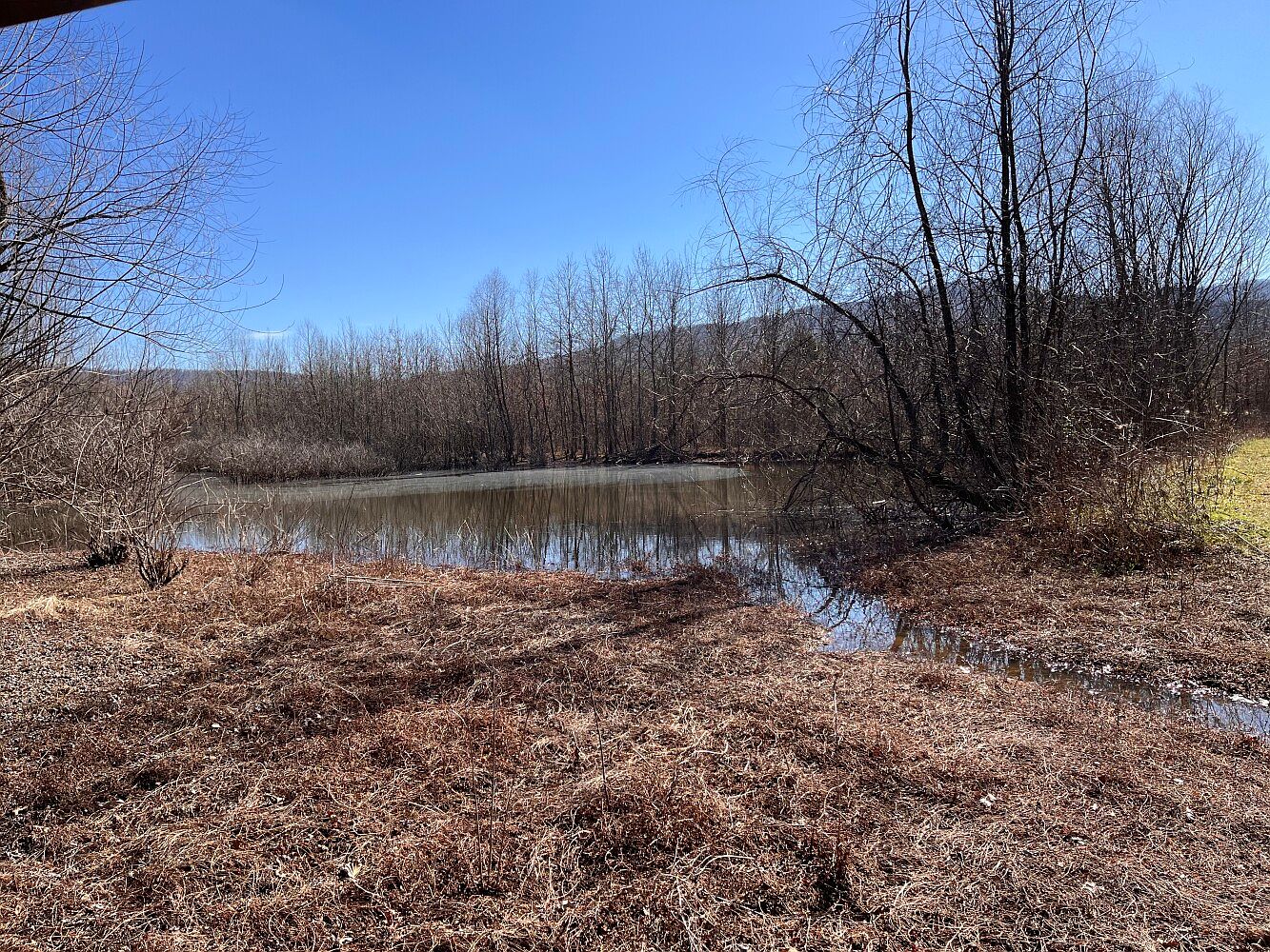 0 County Road 65, Estillfork, AL 35745 | MLS #11414234 | Zillow