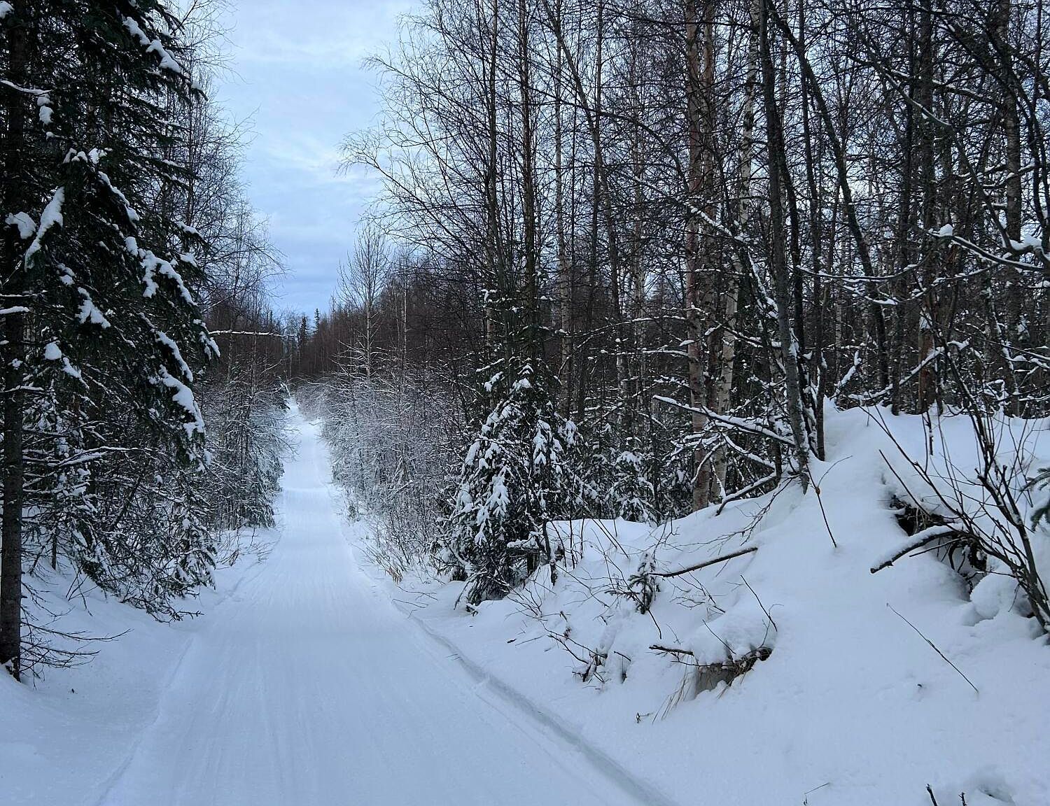 35867 S Malaspina Loop, Talkeetna, AK 99676 | Zillow