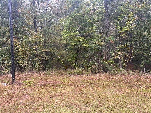 Jarrell Loop, Evans, LA 70639 | MLS #18-6333 | Zillow