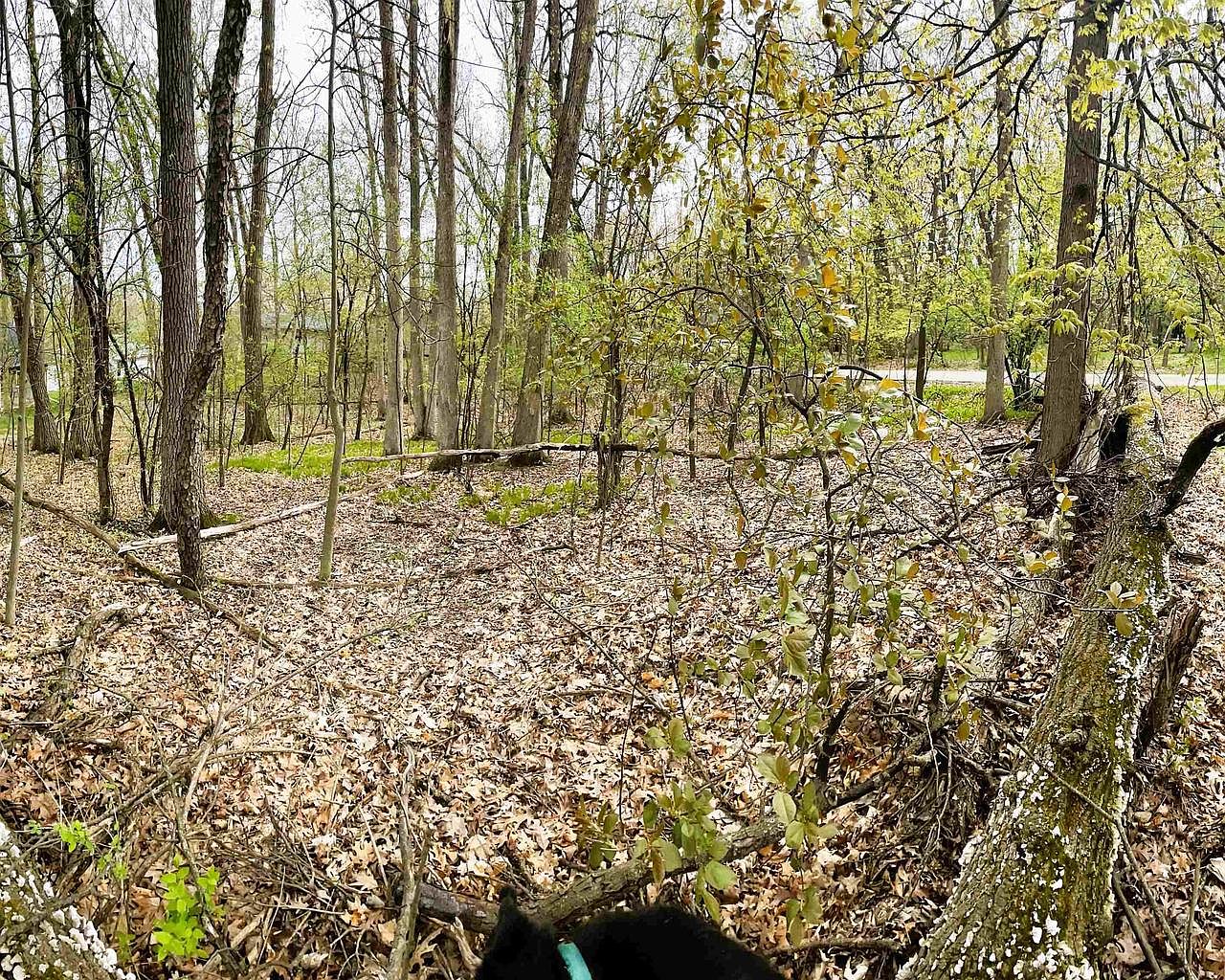 Jute, Lake Geneva, WI 53147 | Zillow