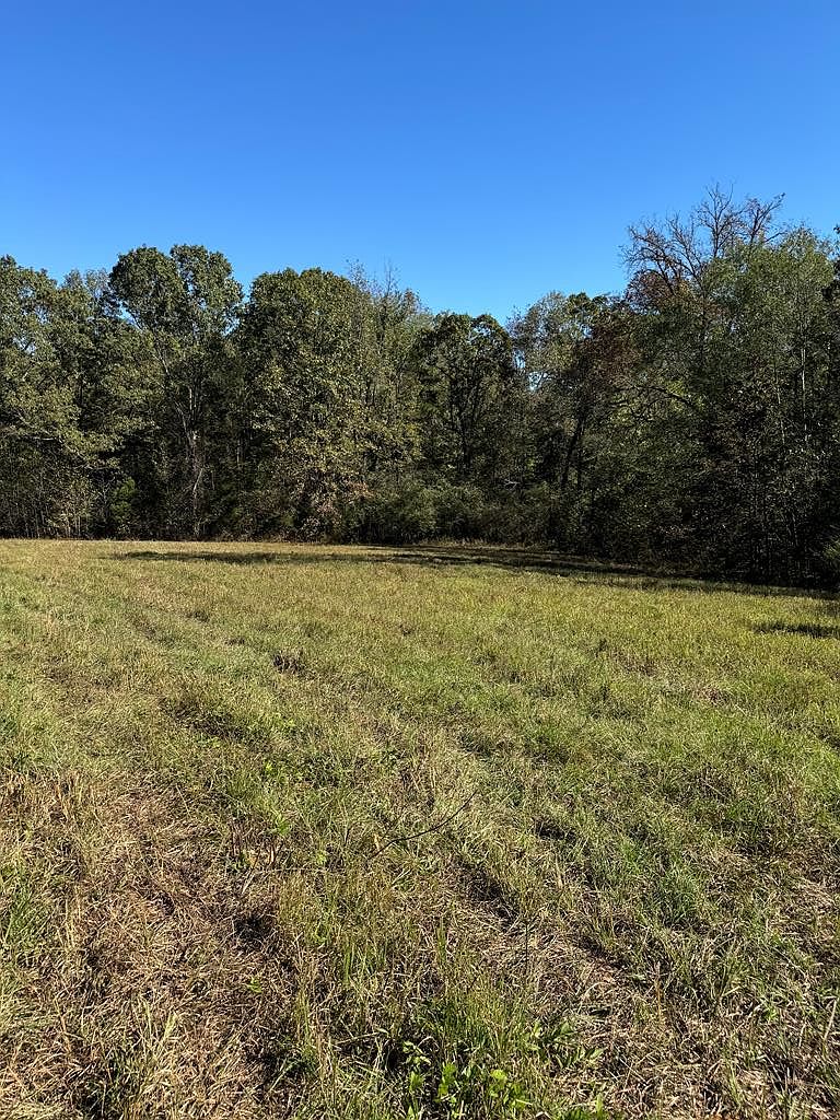 0 County Road 74, Coffeeville, MS 38922 | MLS #159471 | Zillow