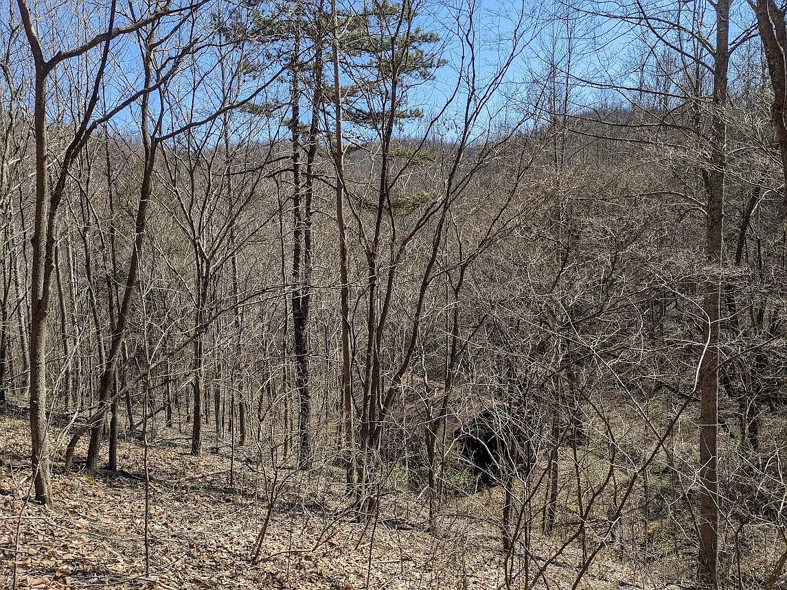10895 North Ky #11, Green Road, KY 40946 | Zillow