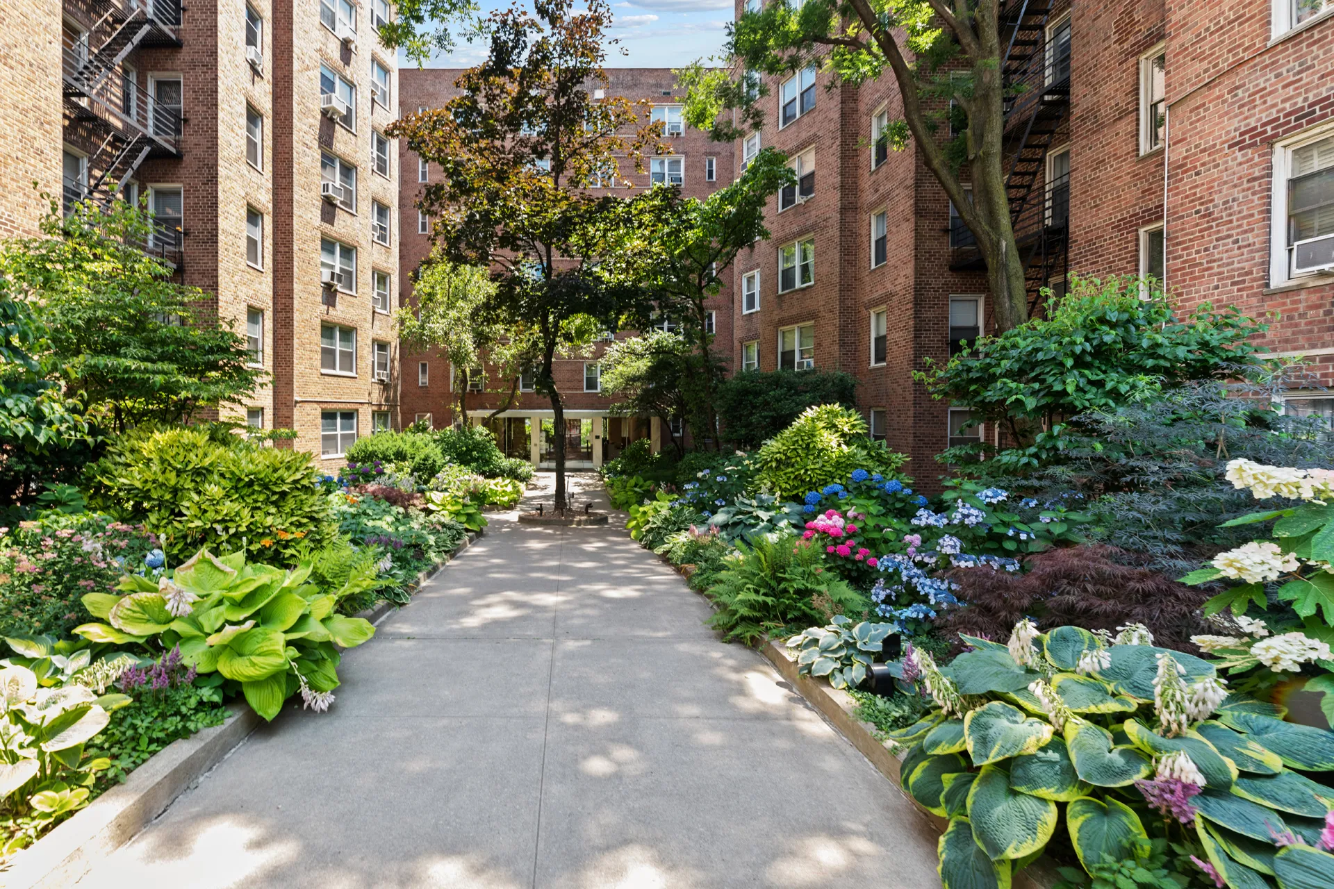 800 Grand Concourse #5JN in Concourse, Bronx | StreetEasy
