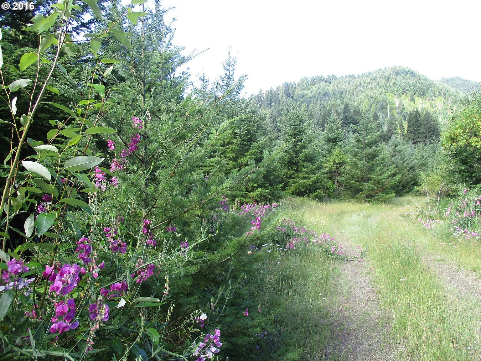 Oklahoma Rd, Cook, WA 98605 | Zillow