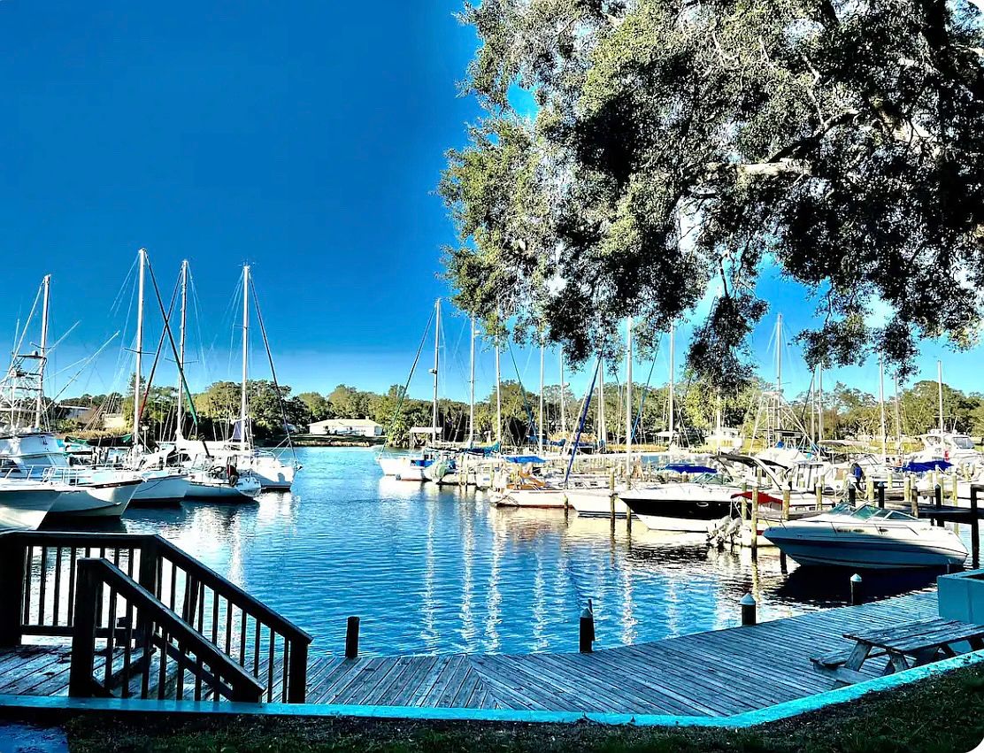 201 S Stillman St #2, Pensacola, FL 32505 | Zillow