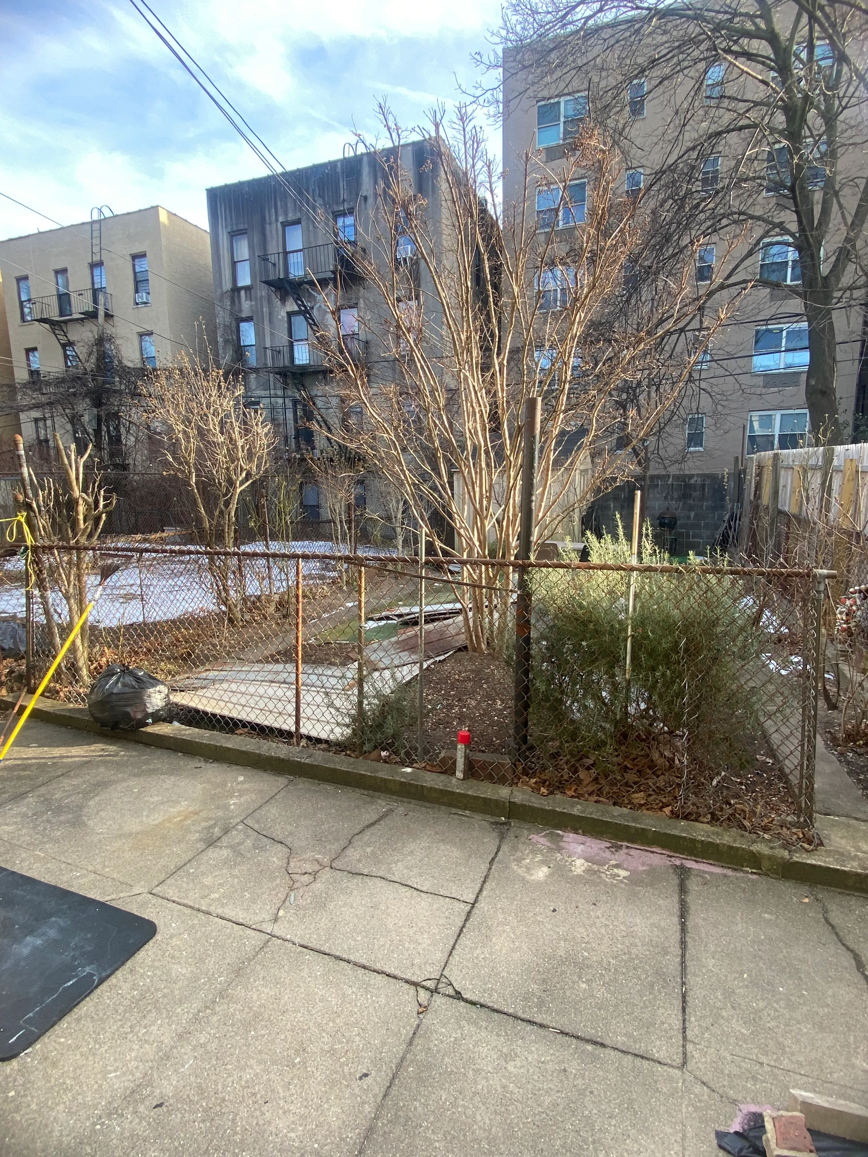 282 Lefferts Avenue #1 in Prospect Lefferts Gardens, Brooklyn | StreetEasy