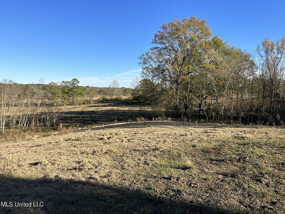 County Road 8, Stringer, MS 39481 | Zillow