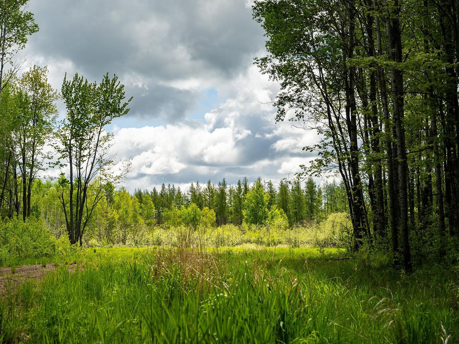 4809 Walczak Rd, Kettle River, MN 55757 | MLS #6518088 | Zillow