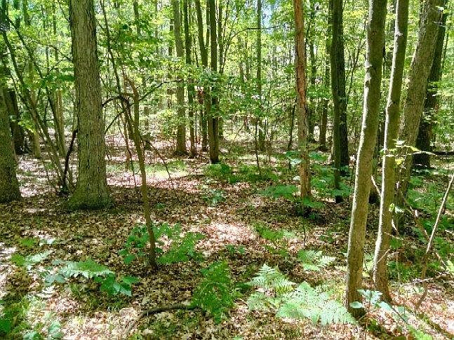 18048 136th Ave, Nunica, MI 49448 | MLS #24007600 | Zillow