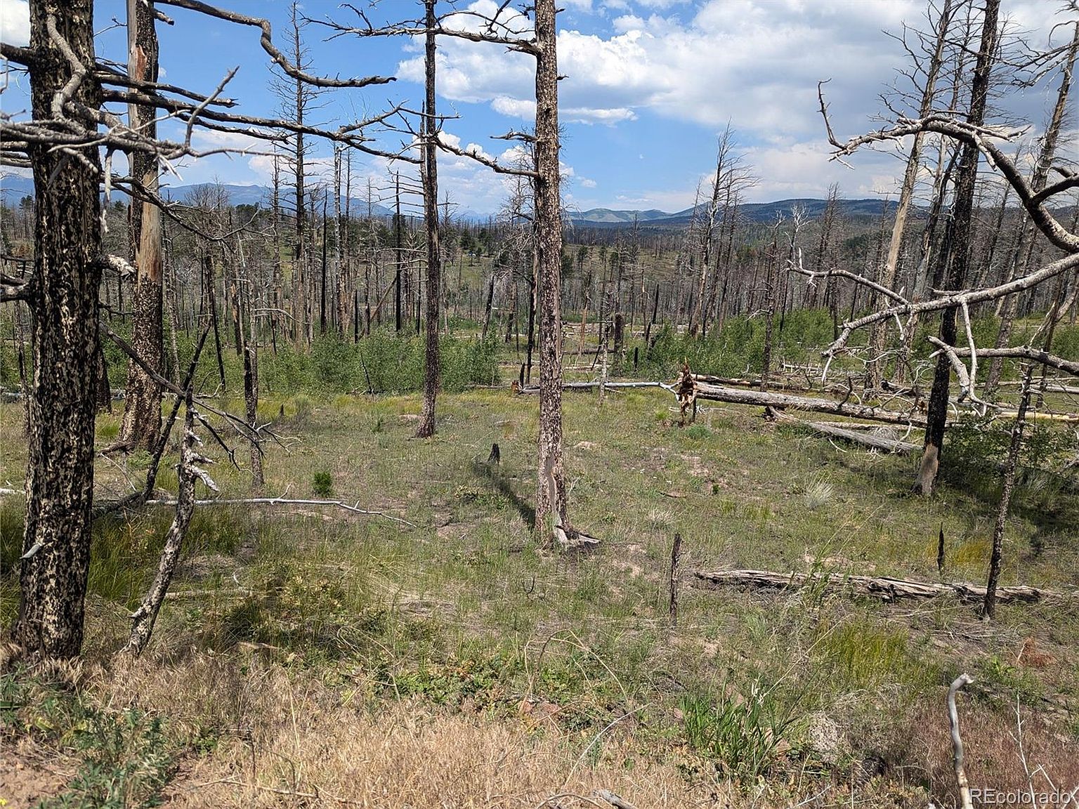 1200 Madden Lane, Fort Garland, CO 81133 | Zillow