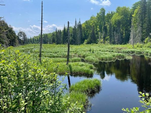 Saint Regis Falls Real Estate - Saint Regis Falls NY Homes For Sale ... Saint Regis Falls Real Estate - Saint Regis Falls NY Homes For Sale ...