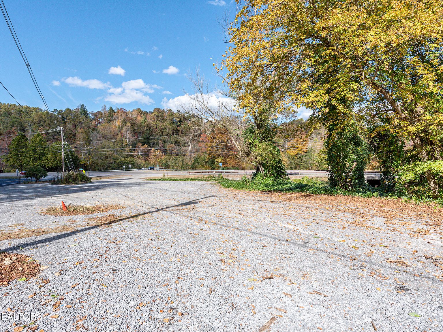 7018 E Lamar Alexander Pkwy, Townsend, TN 37882 | MLS #1246275 | Zillow