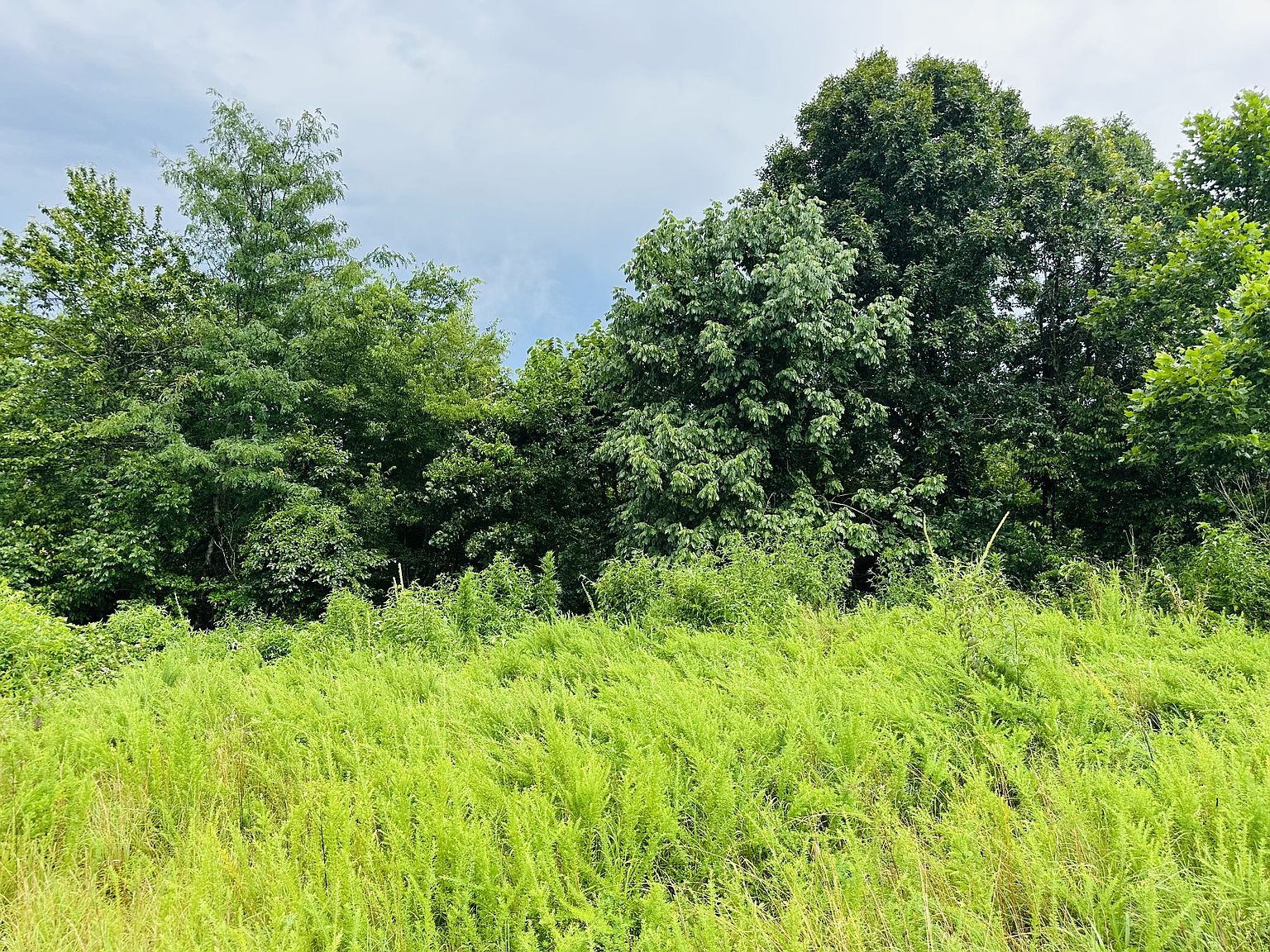 0 Topside Dr LOT 23, Dover, TN 37058 | MLS #2938813 | Zillow