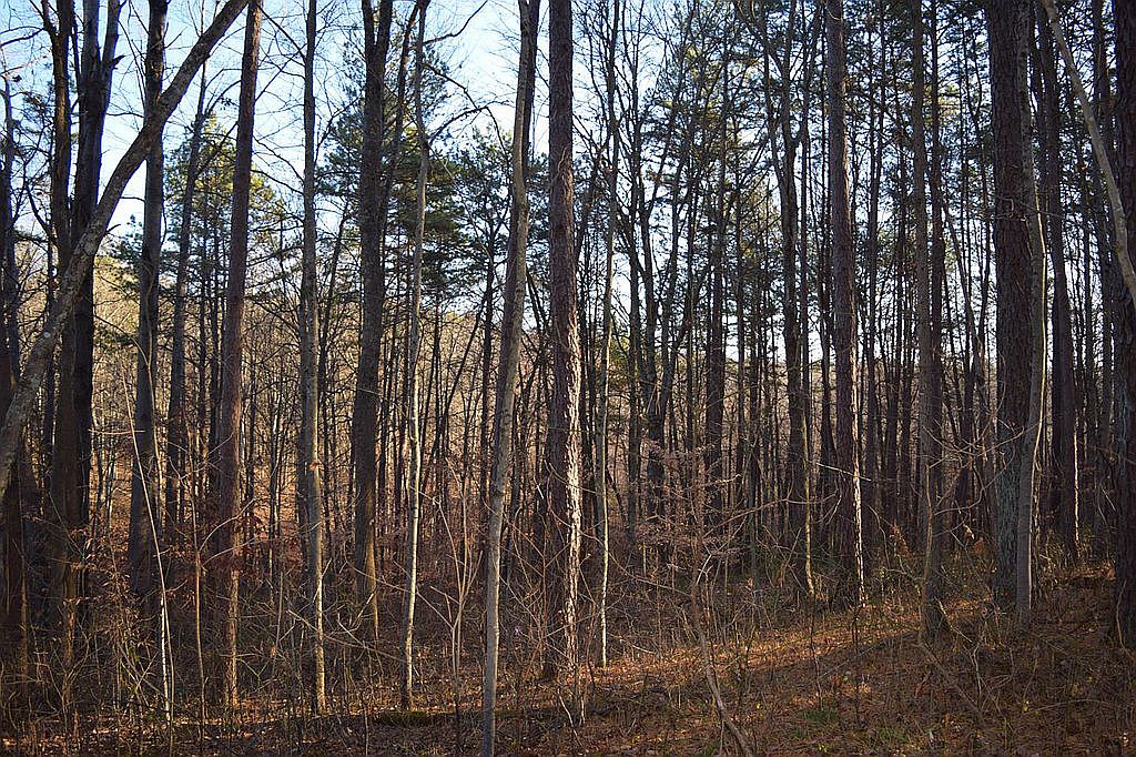 0 Fairview Rd, Ray, OH 45672 | Zillow