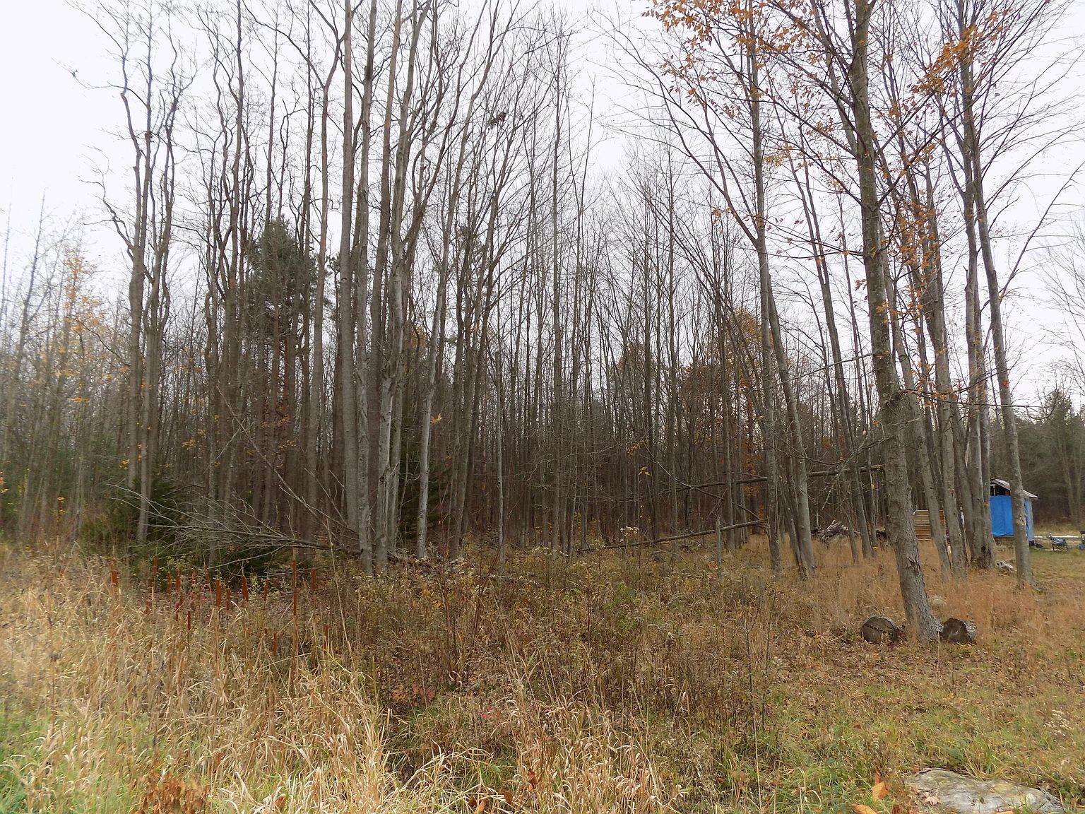 V/l Cres #378, Covert, MI 49043 | Zillow