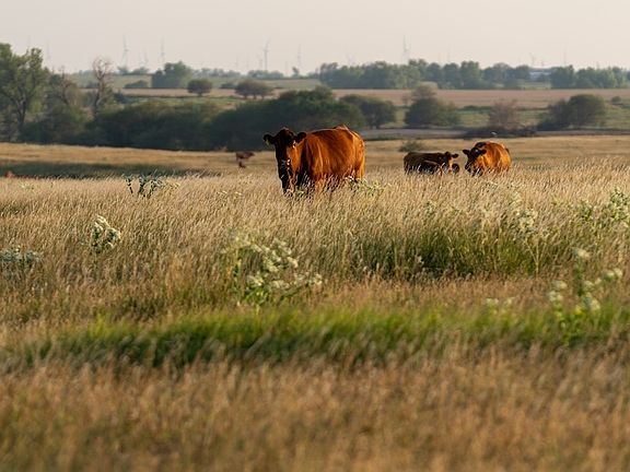 County Rd LOT WP001, Hanston, KS 67849 | MLS #89595 | Zillow