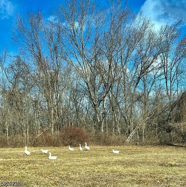 70 Fairfield Rd, Wayne, NJ 07470 | MLS #3827566 | Zillow