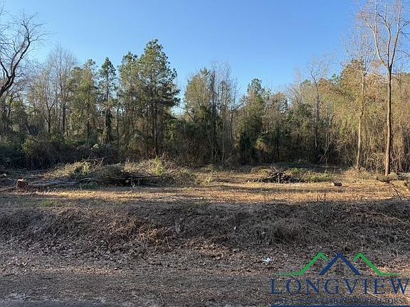 0 County Road 4172d, Laneville, TX 75667 | MLS #20250174 | Zillow