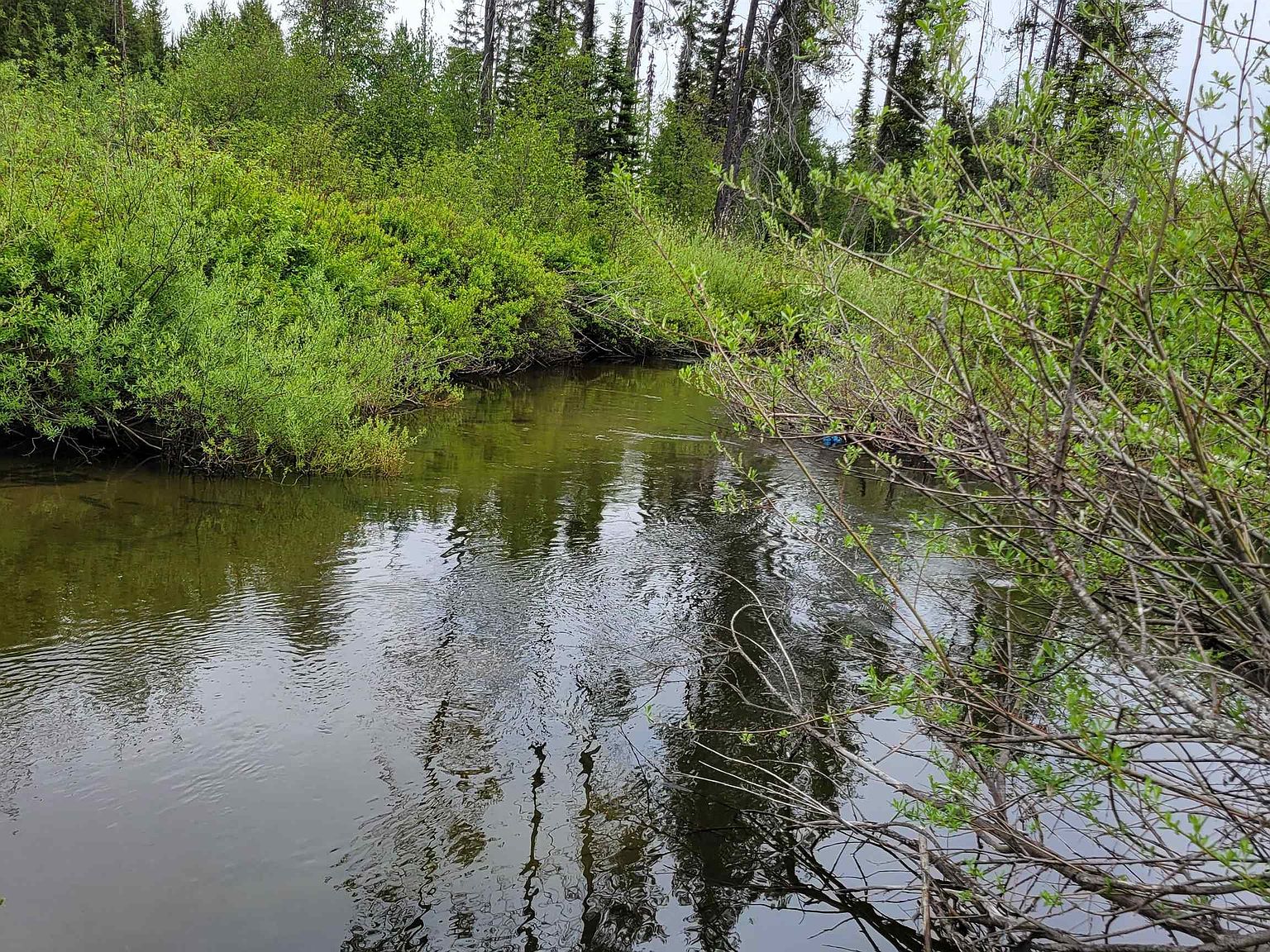 331 Franco Ln, Cusick, WA 99119 | MLS #202417426 | Zillow