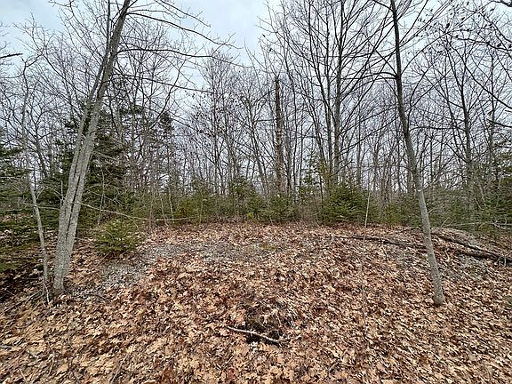 131 Eastbrook Road, Franklin, ME 04634 | MLS #1583126 | Zillow