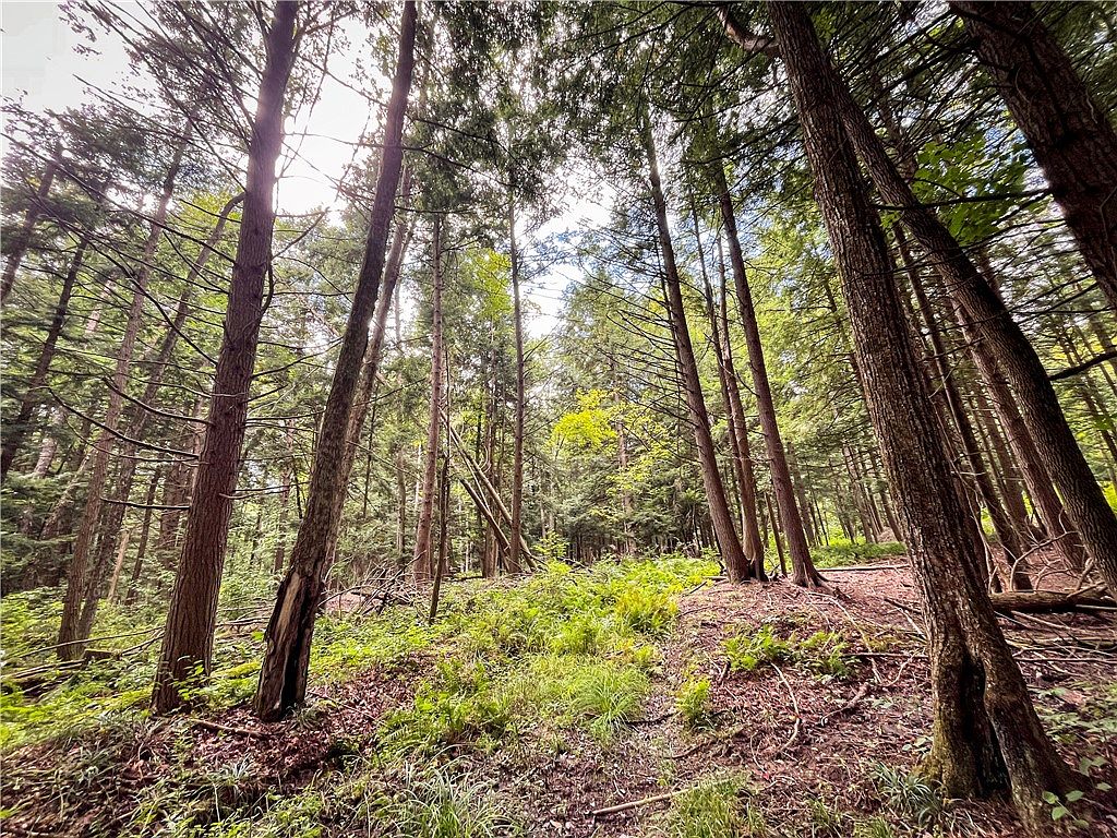 0 Wyncoop Creek Rd #11, Erin, NY 14838 | Zillow