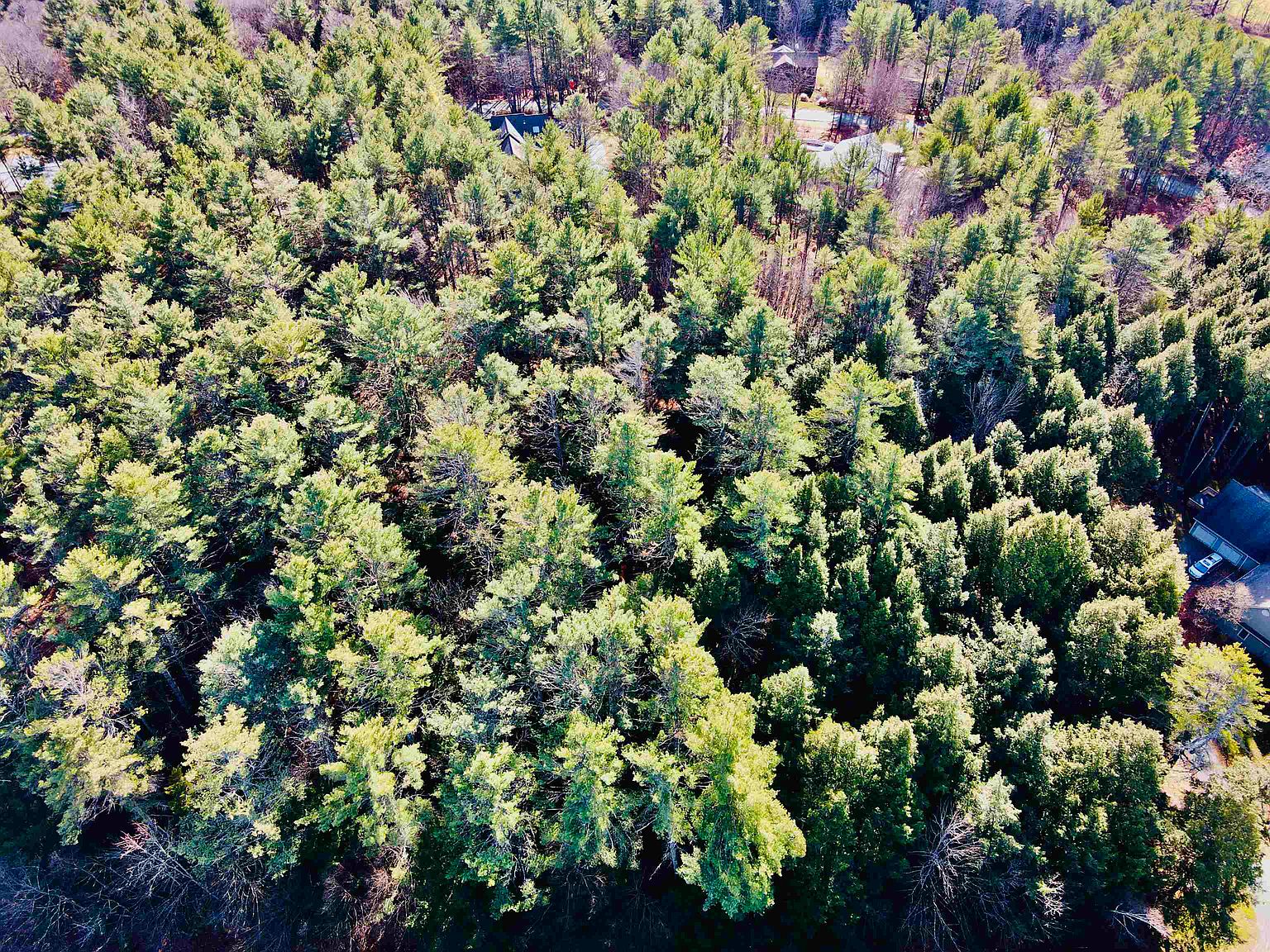 1028 Fairbanks Turn UNIT 1028, Quechee, VT 05059 | Zillow