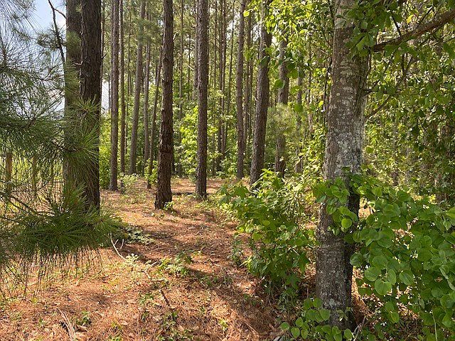 0 Luckeys Bridge Rd, Dearing, GA 30808 | Zillow