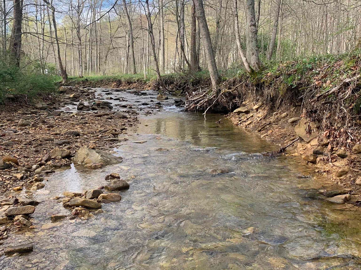 1 Pike Lake Rd, Bainbridge, OH 45612 | Zillow
