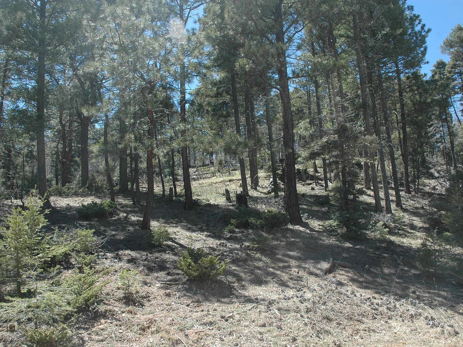 LOT 1142 Via Del Rey, Angel Fire, NM 87710 | MLS #110181 | Zillow