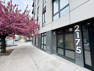 215 Mother Gaston Boulevard #4 in Crown Heights, Brooklyn | StreetEasy