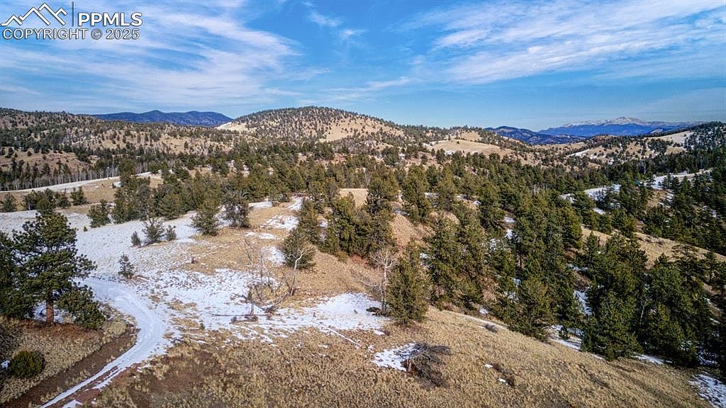 13 Buckhorn Trl, Guffey, CO 80820 | MLS #8968956 | Zillow