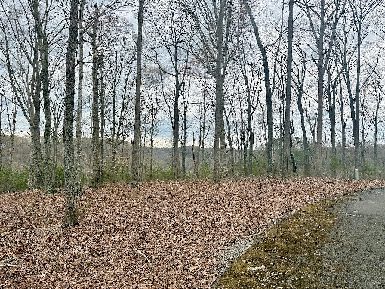 LOT Paradise Aly, Russell Springs, KY 42642 | MLS #25006759 | Zillow