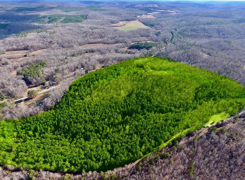 0 Maud Rd, Cherokee, AL 35616 | Zillow