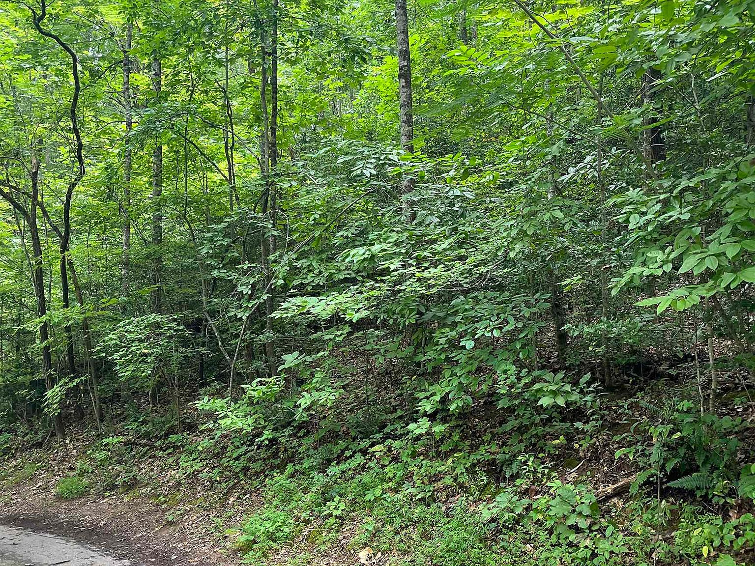 12 Kilpatrick Point Ln, Hayesville, NC 28904 | MLS #20067097 | Zillow