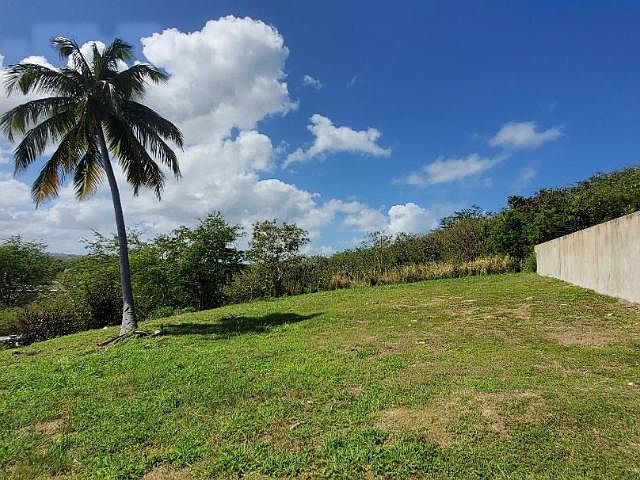 493 Carr Km 1.3 Del Bo Carrizales, Hatillo, PR 00659 | Zillow