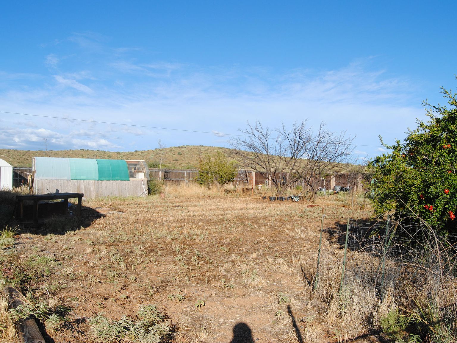 17050 E Spring Valley Rd, Spring Valley, AZ 86333 | Zillow