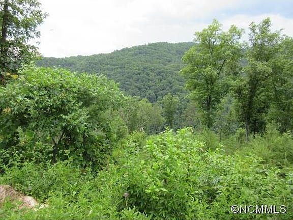 387 Wild River Run, Marshall, NC 28753 | Zillow