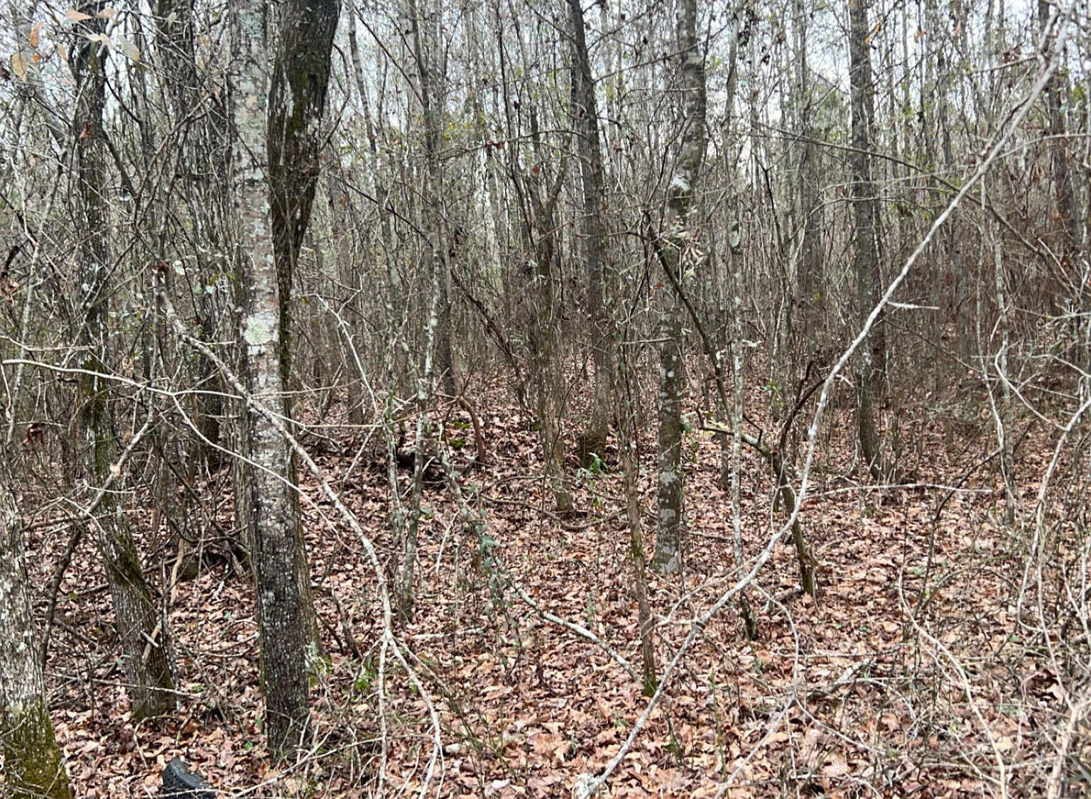 493 High Way, Porterville, MS 39352 | MLS #25-177 | Zillow