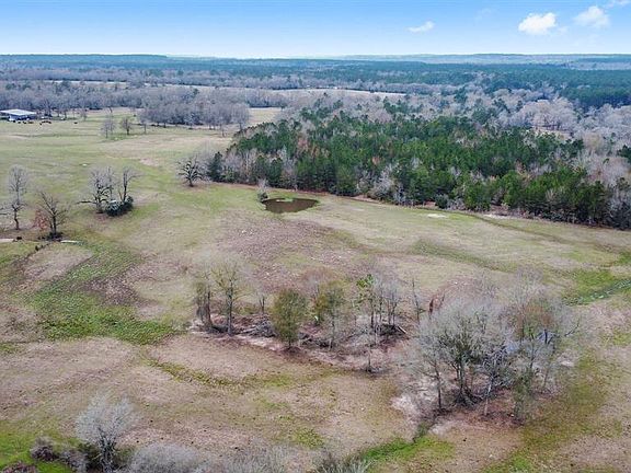 7395 County Road 4200, Pennington, TX 75856 | MLS #34666728 | Zillow